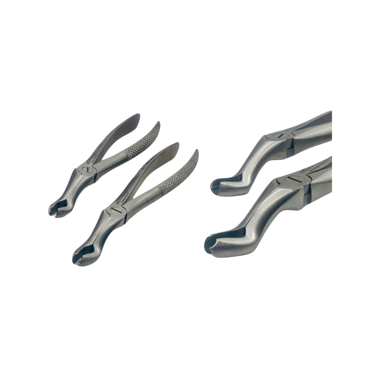 Upper Molars Forceps – MTC DENT SHOP